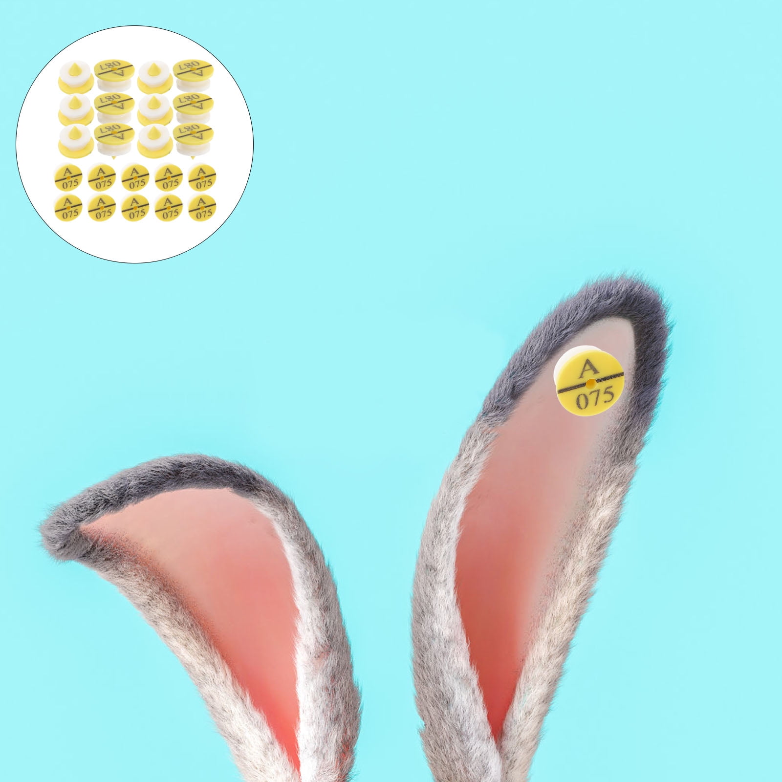 LEORX 50 Pcs Rabbit Ear Tags Cattle Numbered Animals Identification ...