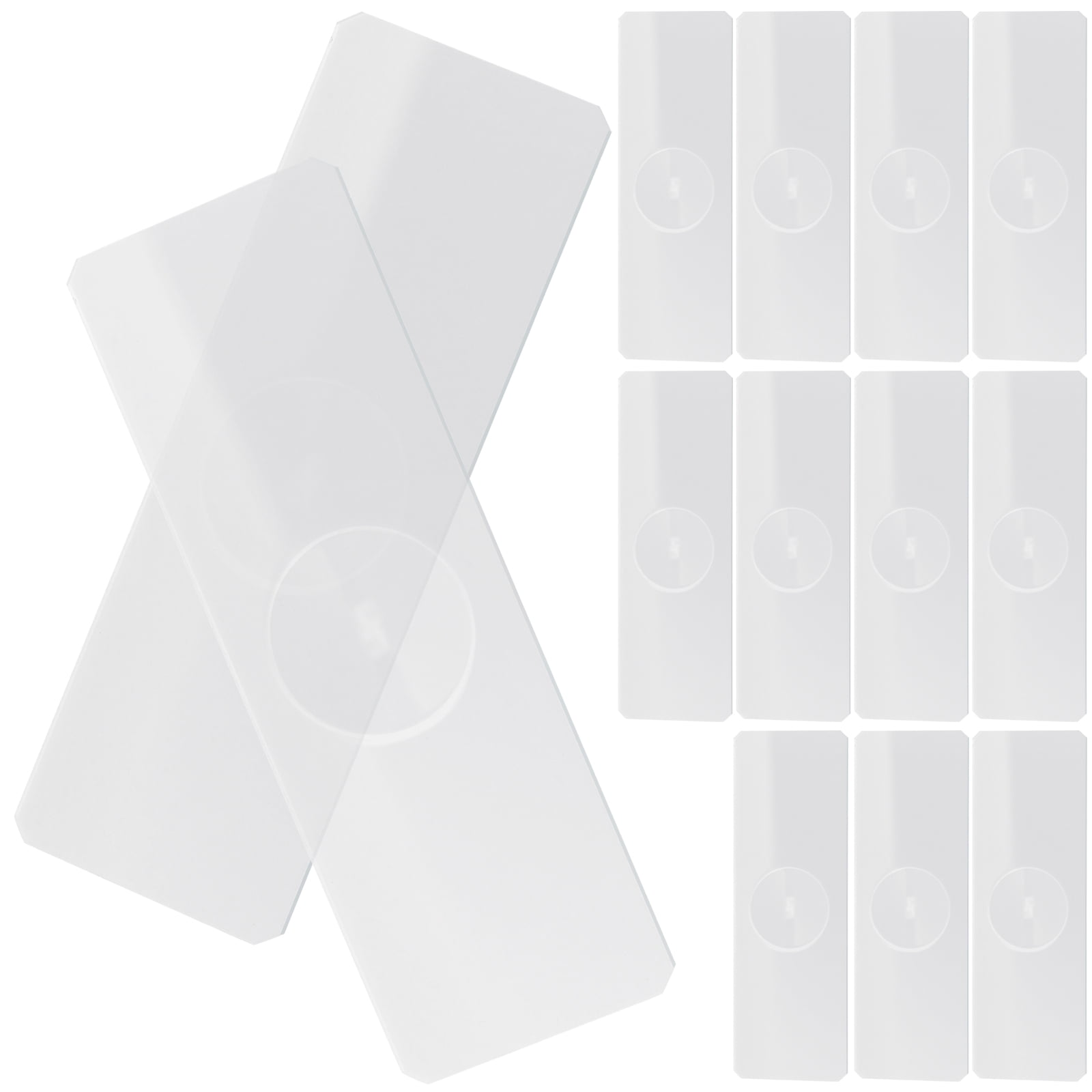 LEORX 50 pcs Aquatic Specimens Microscope Slides Laboratory Glass ...