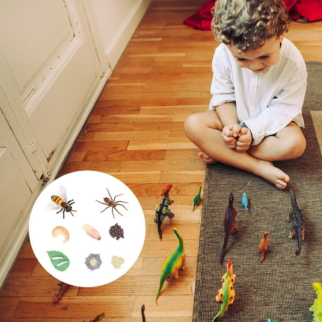 LEORX 8Pcs Realistic Plastic Insect Models Simulate Insect Life Cycle ...