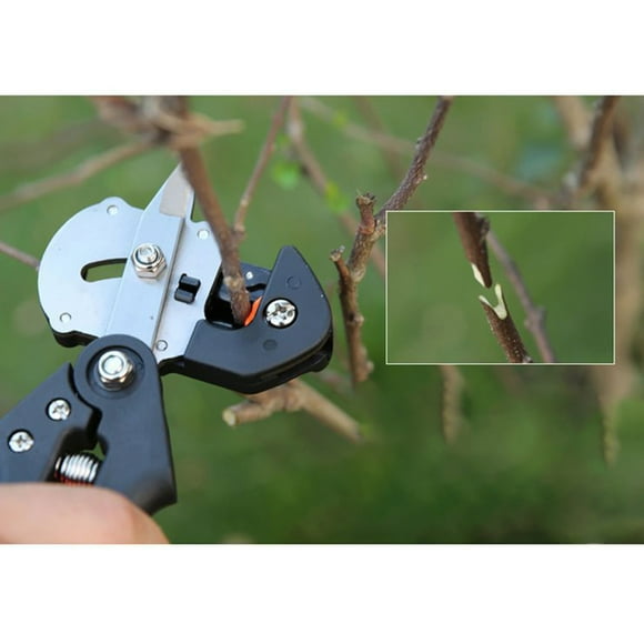 Grafting Kit