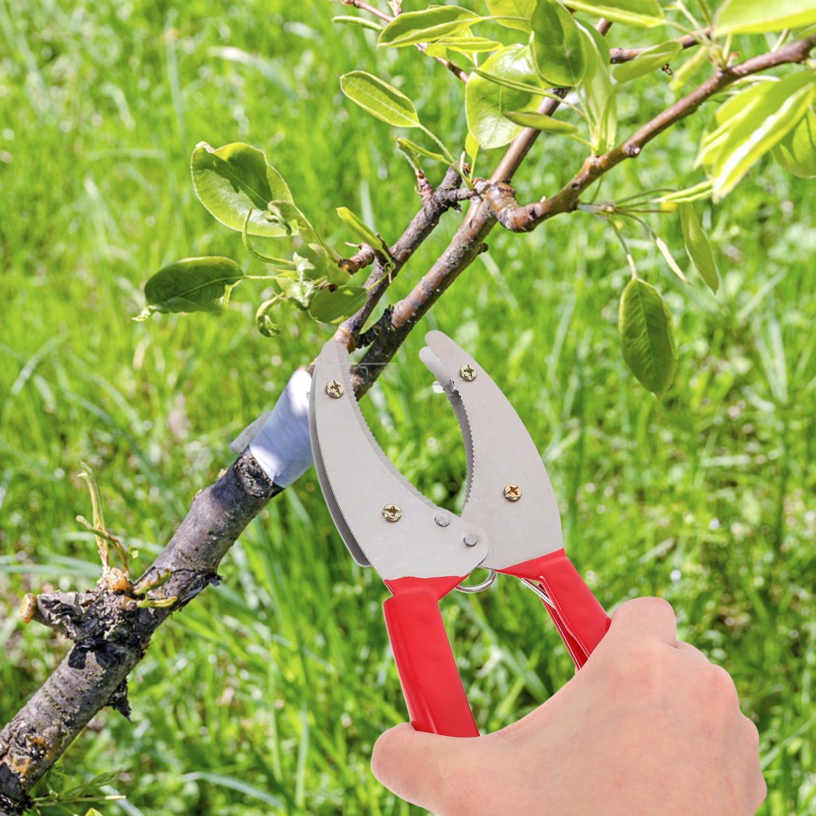 LEORX Fruit Tree Girdling Cutter Made of Steel for Garden Use Pink ...