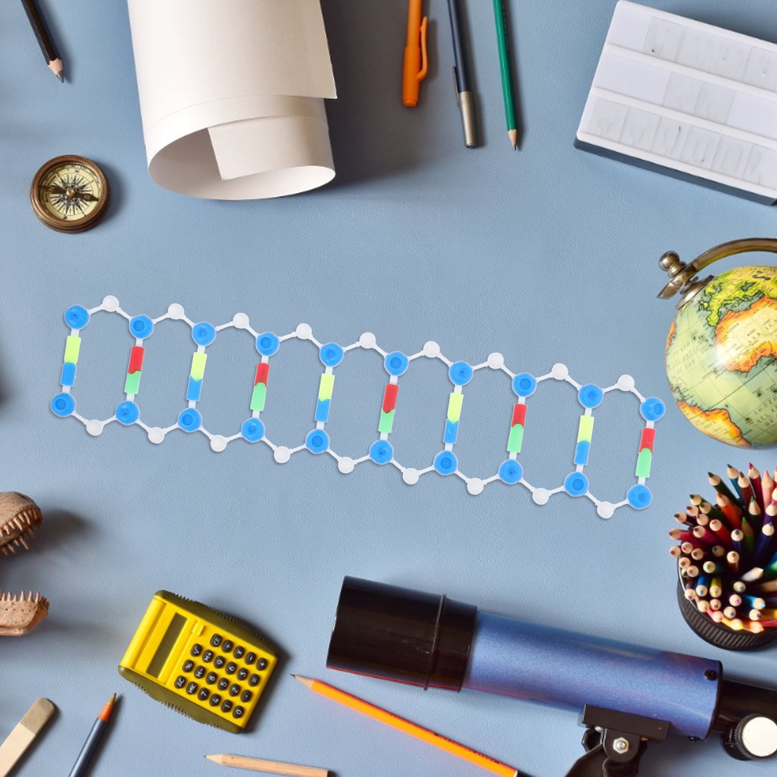 LEXSOMEO 1 Set Dna Model Science Classroom Decor Double Helix Model ...