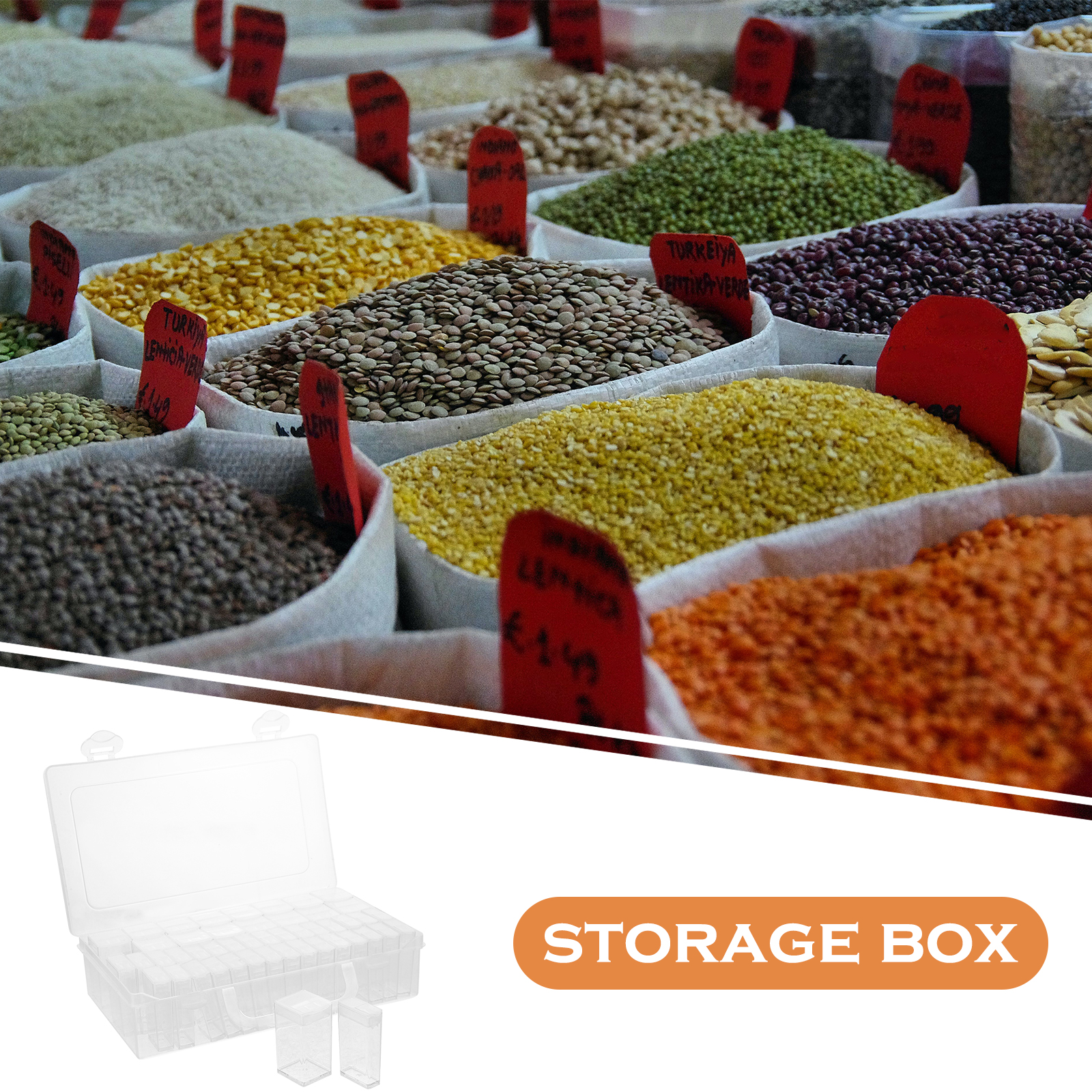 LEXSOMEO 1 Set of Seed Storage Box Divided Small Seeds Organizer Box ...