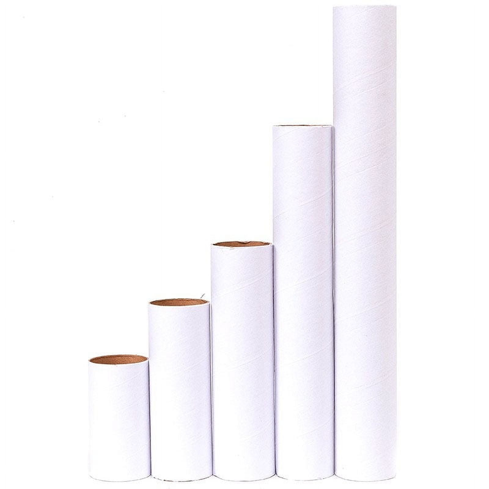 LEXSOMEO 10PCS Craft Rolls Sturdy Paper Tubes for DIY Art Projects ...
