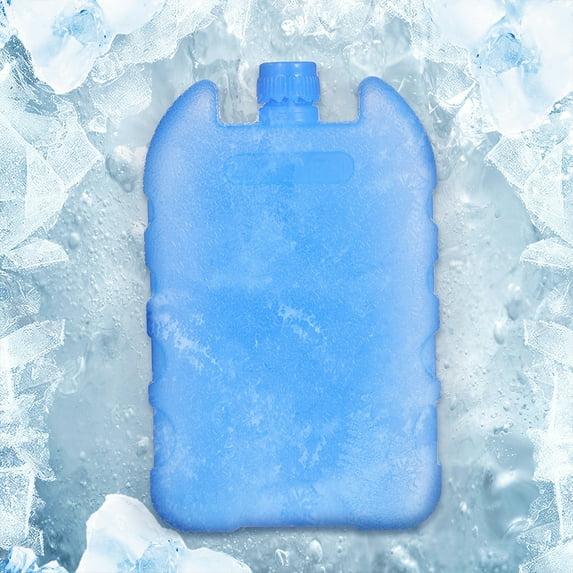 LEXSOMEO 10pcs Ice Packs For Coolers Freezer Packs Ice Block Cooler Ice ...