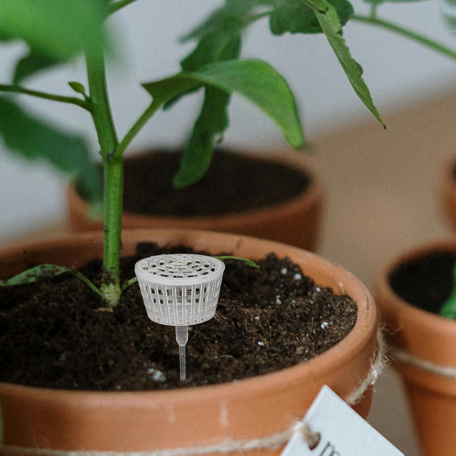 LEXSOMEO 10pcs Plastic Fertilizer Mesh Basket With Lid Bonsai ...