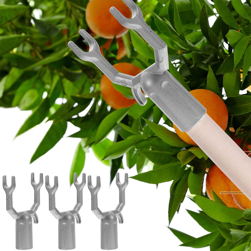 LEXSOMEO 15Pcs Branch Support for Fruit Trees Tree Branch Support Matte ...