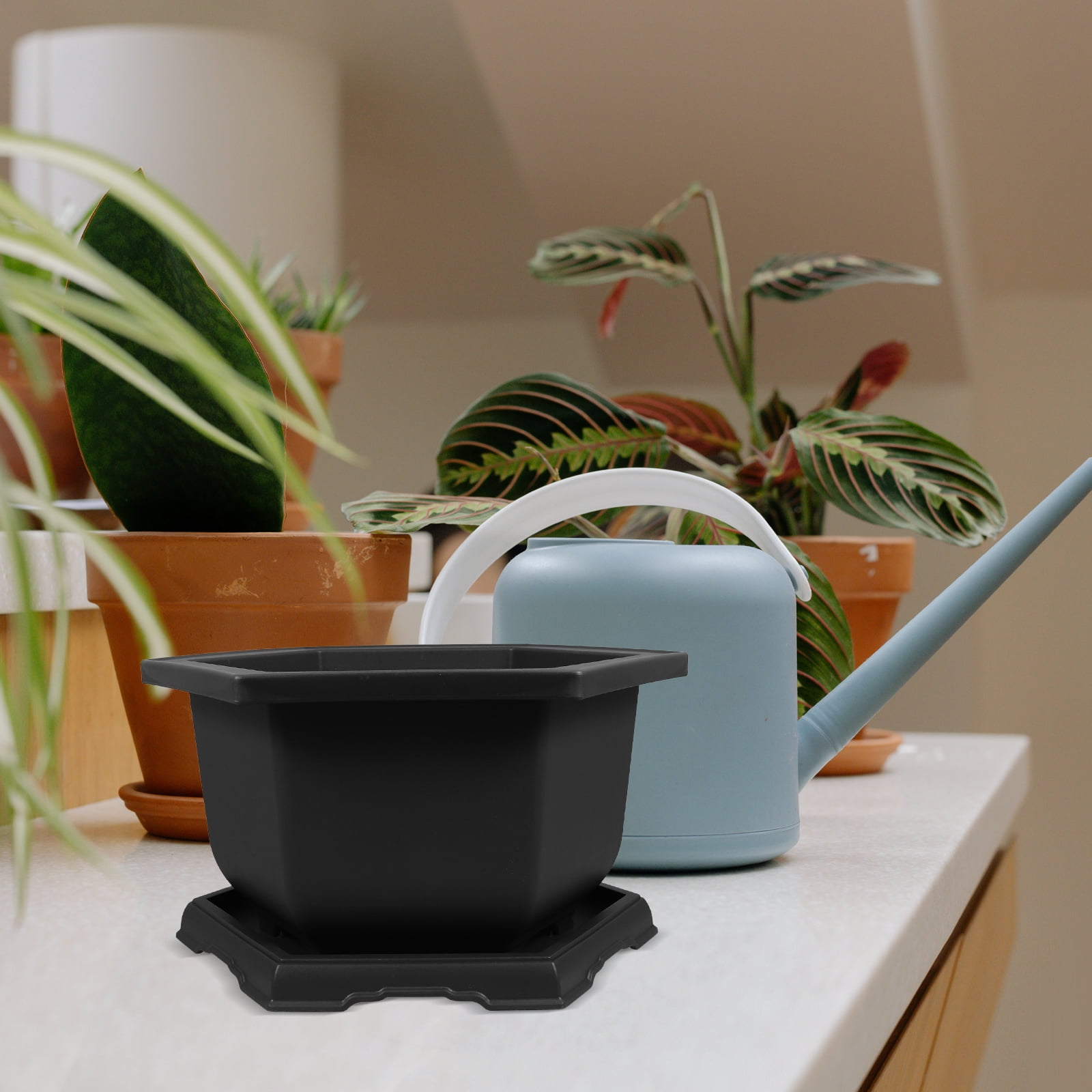 LEXSOMEO 2 Sets Hexagon Bonsai Pots With Saucer Plastic Bonsai Training ...