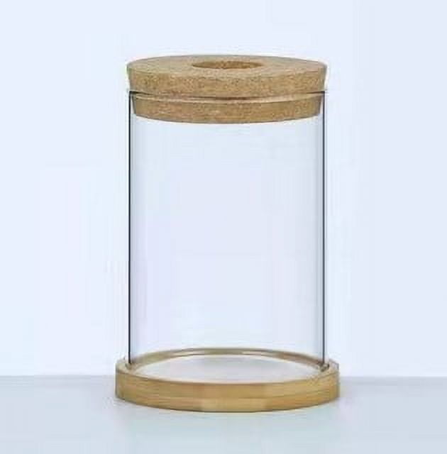 2Pcs Glass Plant Propagation Terrariums with Bamboo Trays & Cork Lids ...