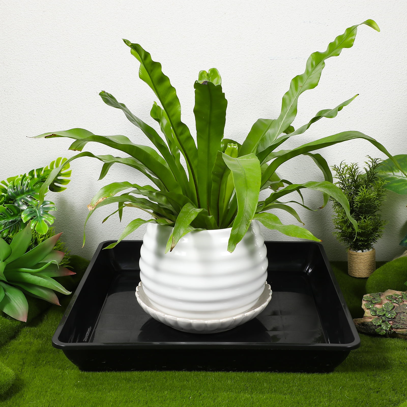 LEXSOMEO 2pcs Plant Saucers For Indoors Plastic Drip Trays For Plants ...