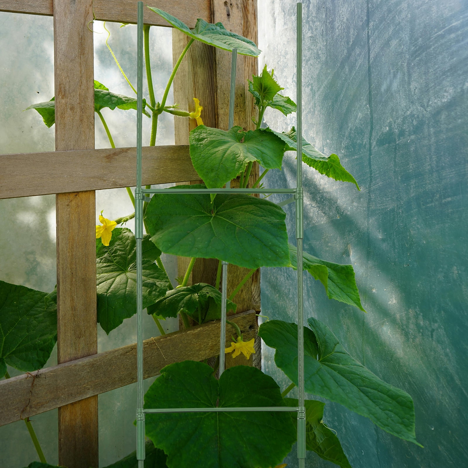 LEXSOMEO 3 Sets Trellis for Potted Plants Garden Trellis for Climbing Plants Plant Supporting ...