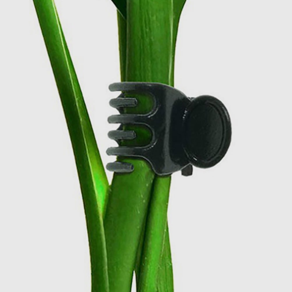 LEXSOMEO 40pcs Plant Vine Clamps Plastic Grafting Clips Plant ...