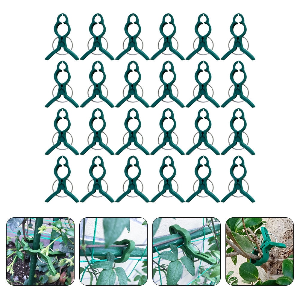 LEXSOMEO 60pcs Tomato Stem Support Clips Plant Stem Straightening Clips ...