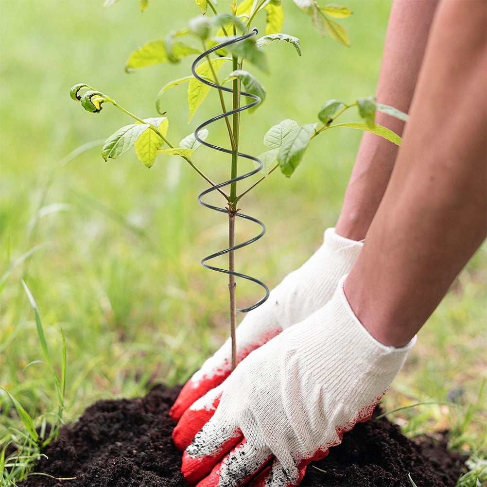 LEXSOMEO 8Pcs Spiral Plant Stakes Spiral Plants Support Garden Plant ...