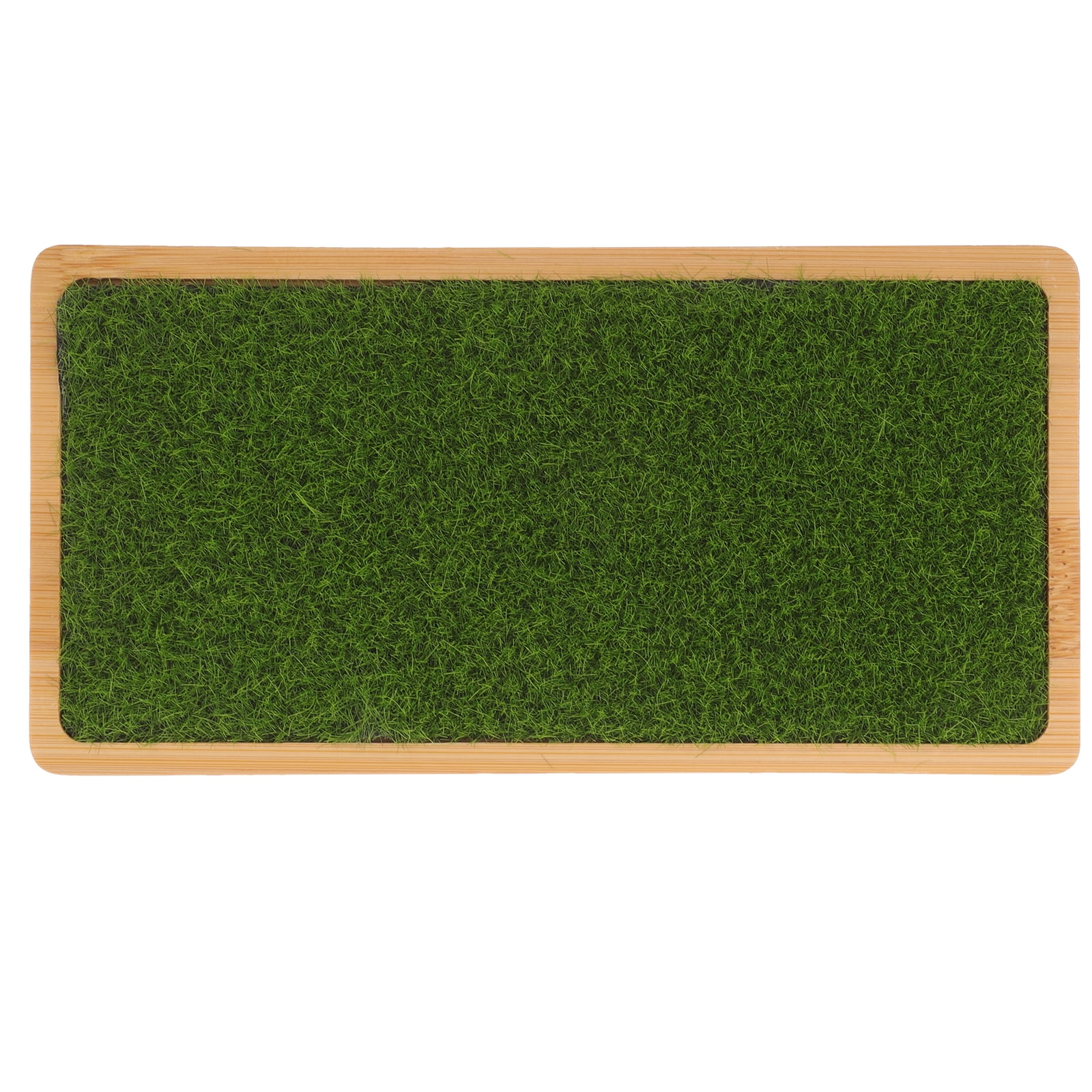 RENACLIPY Green Grass Display Rack for Desk Decor Durable Ev Bamboo ...