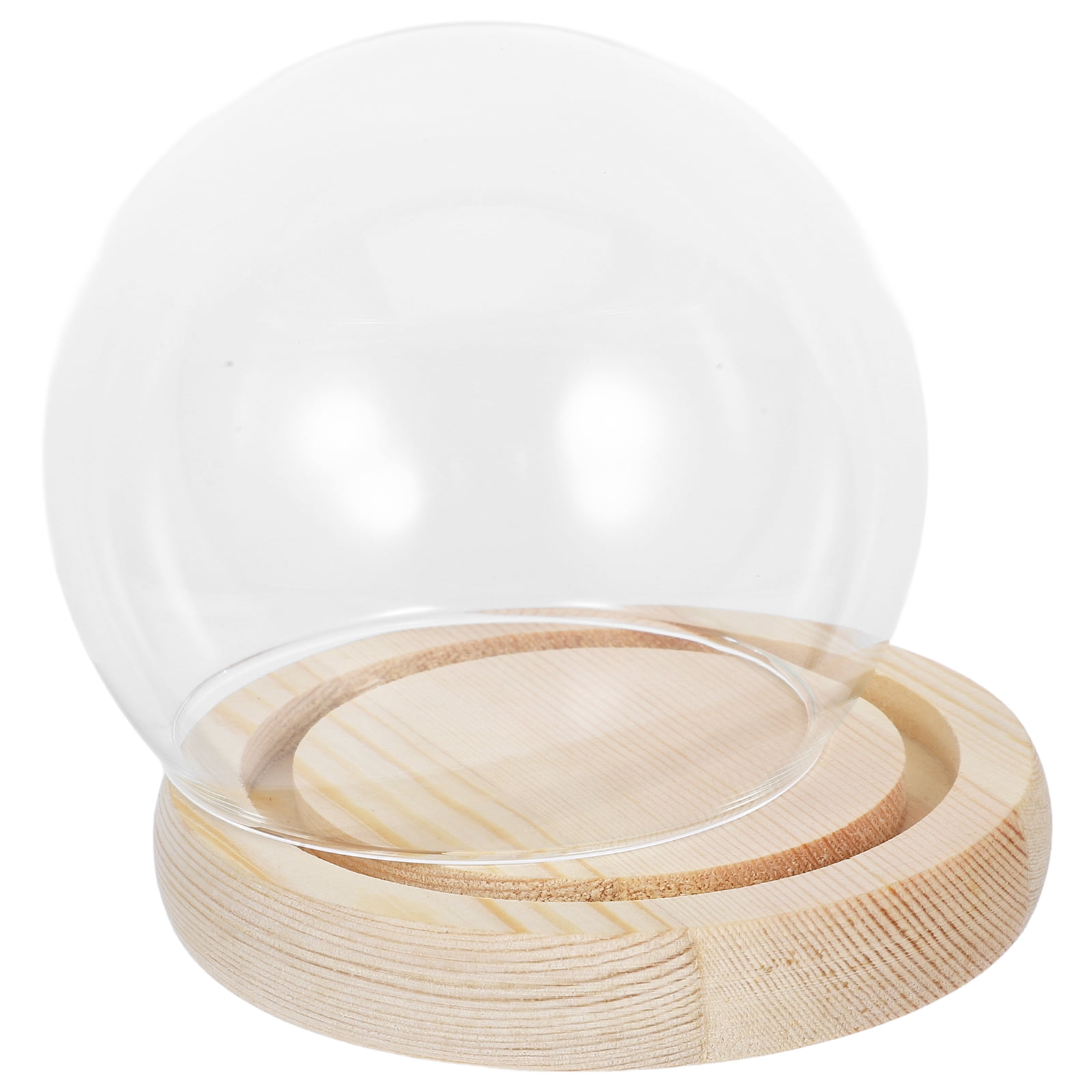LEXSOMEO Clear Glass Display Case with Wooden Base Clear Glass Dome ...