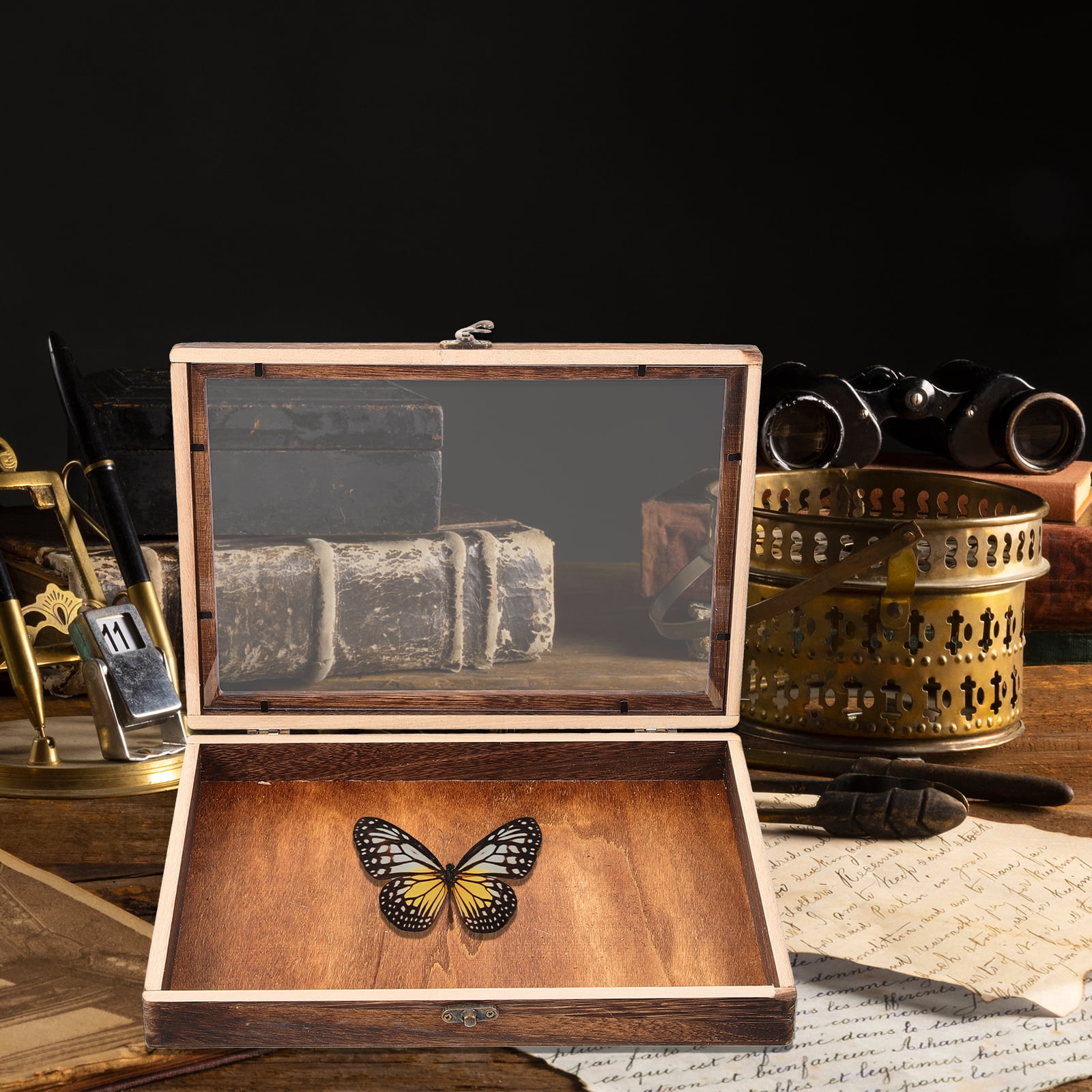 RENACLIPY collection box for butterfly specimen brown wood 1Pcs ...