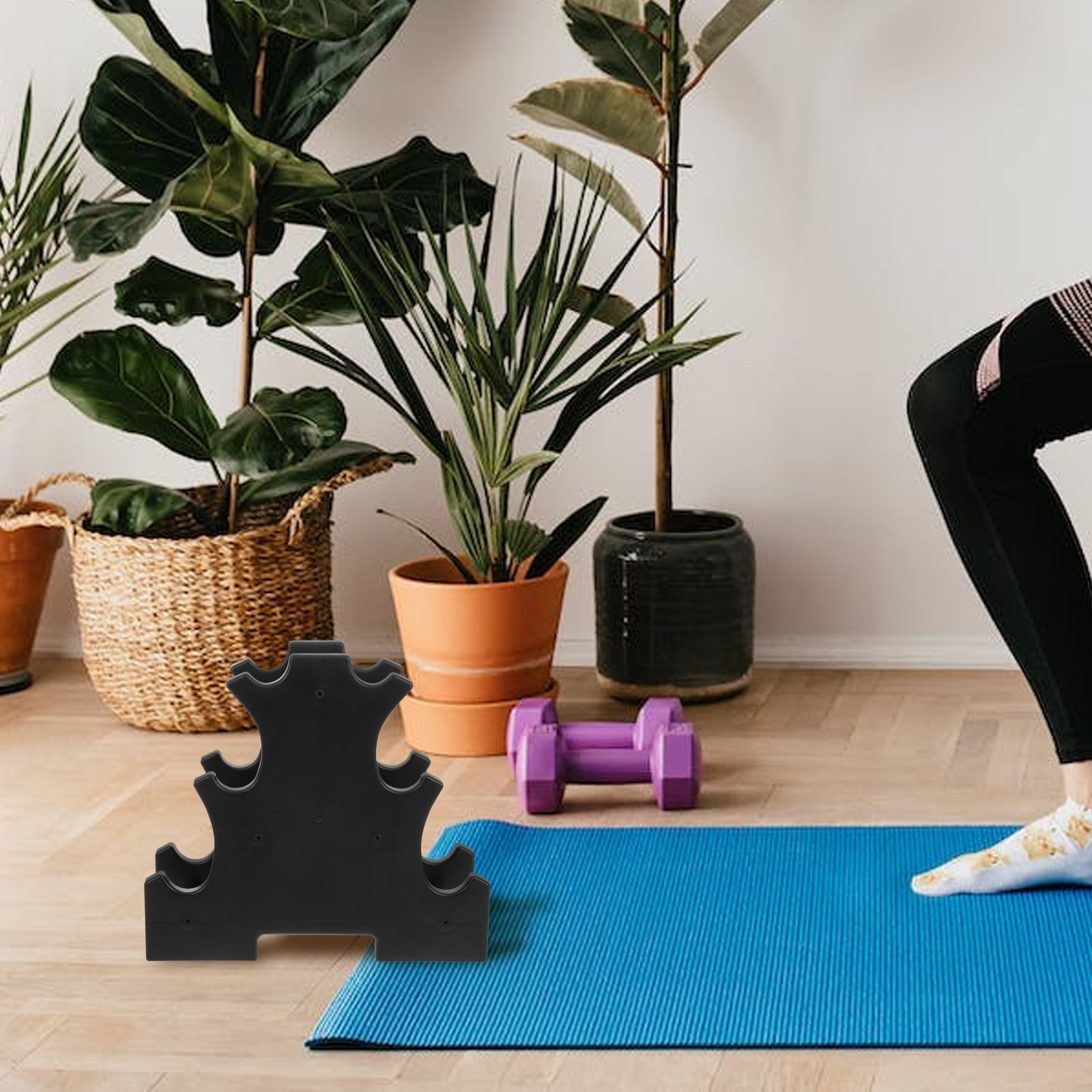 RENACLIPY Practical Dumbbell Storage Rack Stand Black for Home Exercise ...