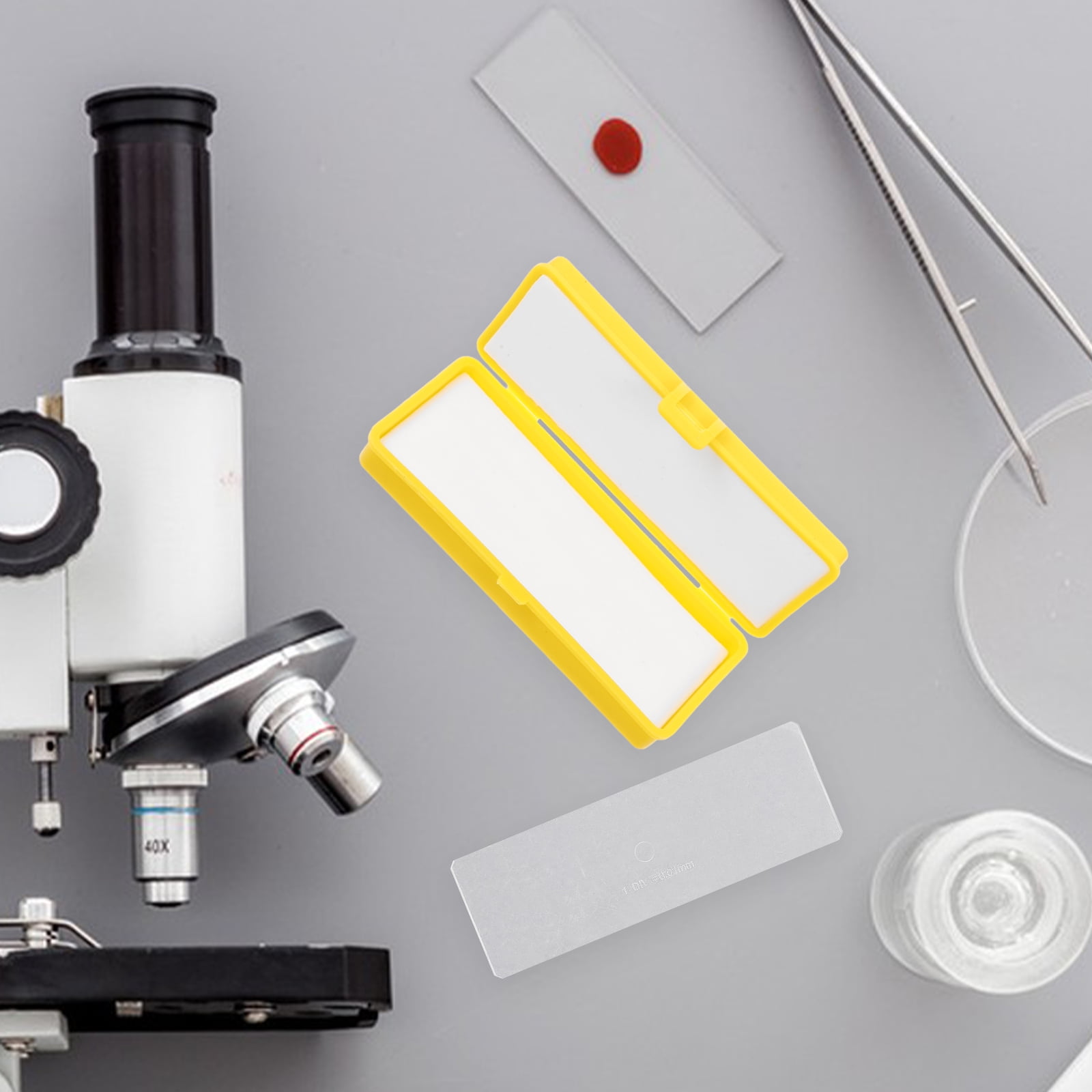 LEXSOMEO Microscope Slides Ruler Calibration Slide Ruler Microscope ...