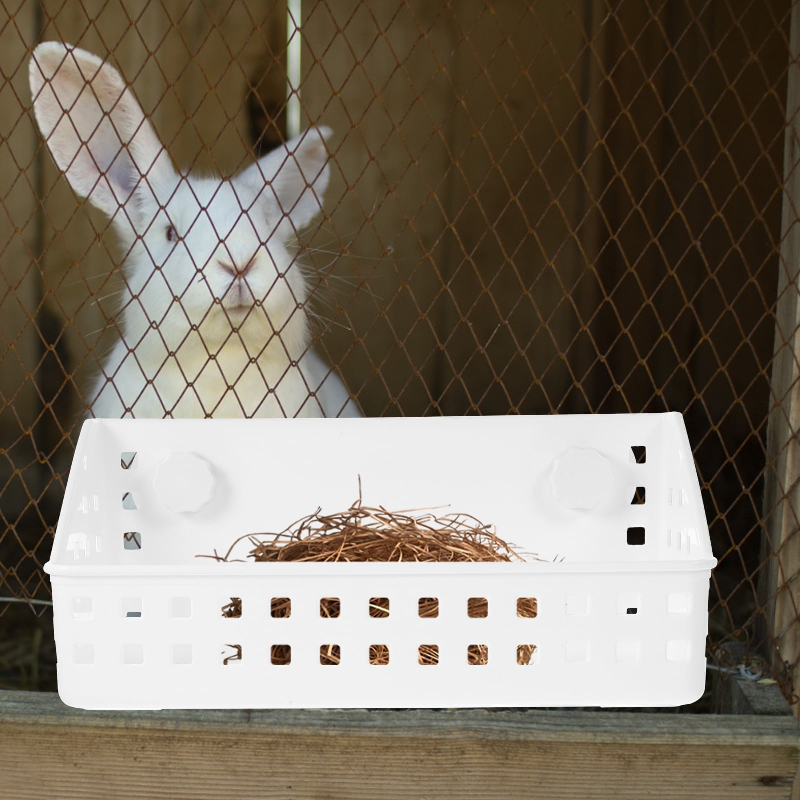 LEXSOMEO Plastic Rabbit Feeder Bunny Food Dispenser Guinea Pig Hay ...