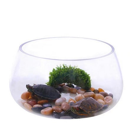 LEXSOMEO Round Fish Bowl Clear Glass Turtle Bowl Transparent Fish Bowl ...