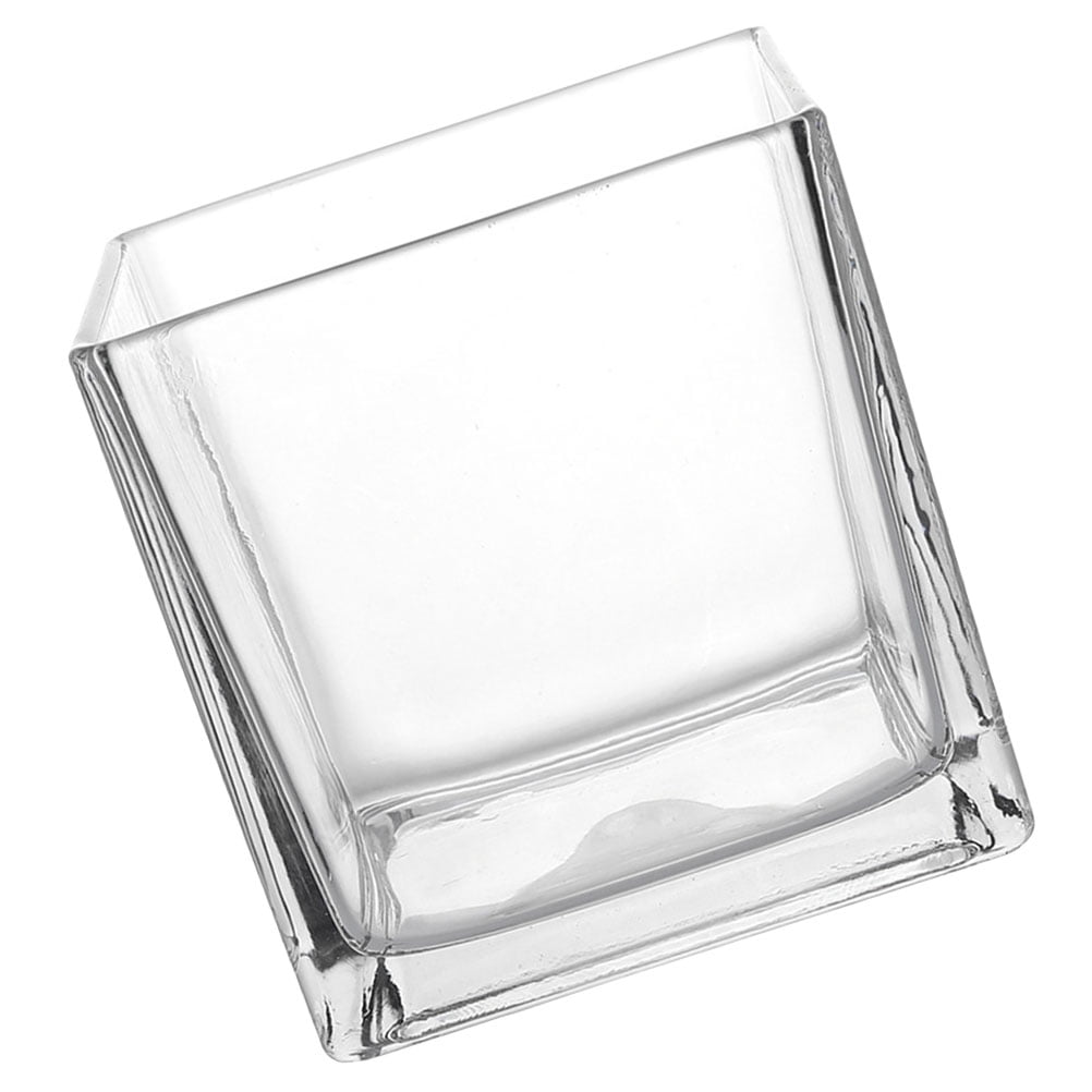 LEXSOMEO Square Glass Vase Clear Cube Vase Hydroponic Vase Modern ...