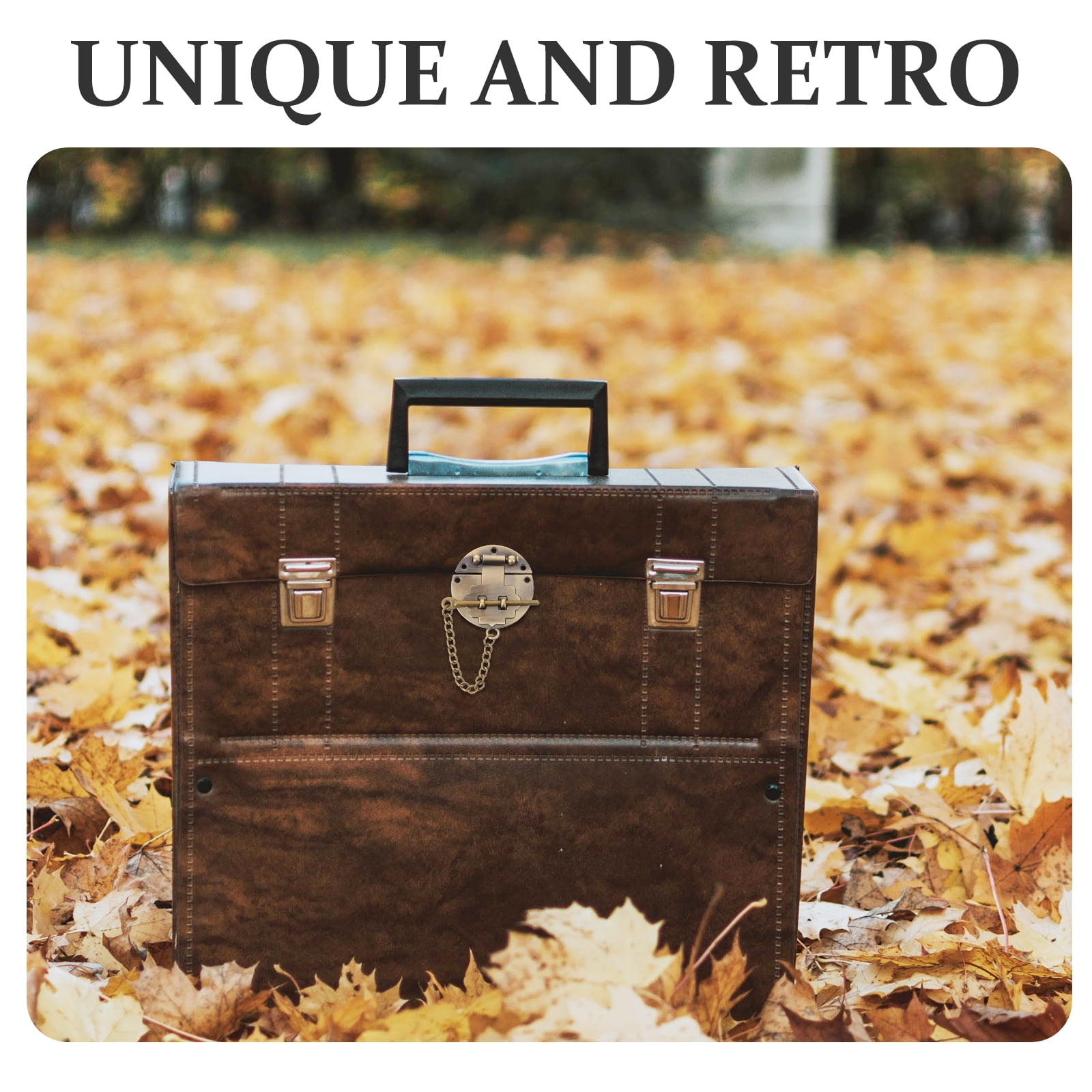 LEXSOMEO Vintage Jewelry Case Hasp Lock Wooden Box Hasp Buckle ...