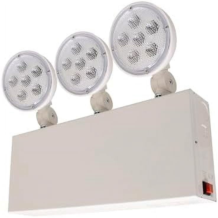 LFI Lights NYC Approved Emergency Light Heavy-Duty Steel Housing ...
