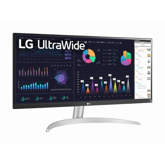Large Computer Monitors