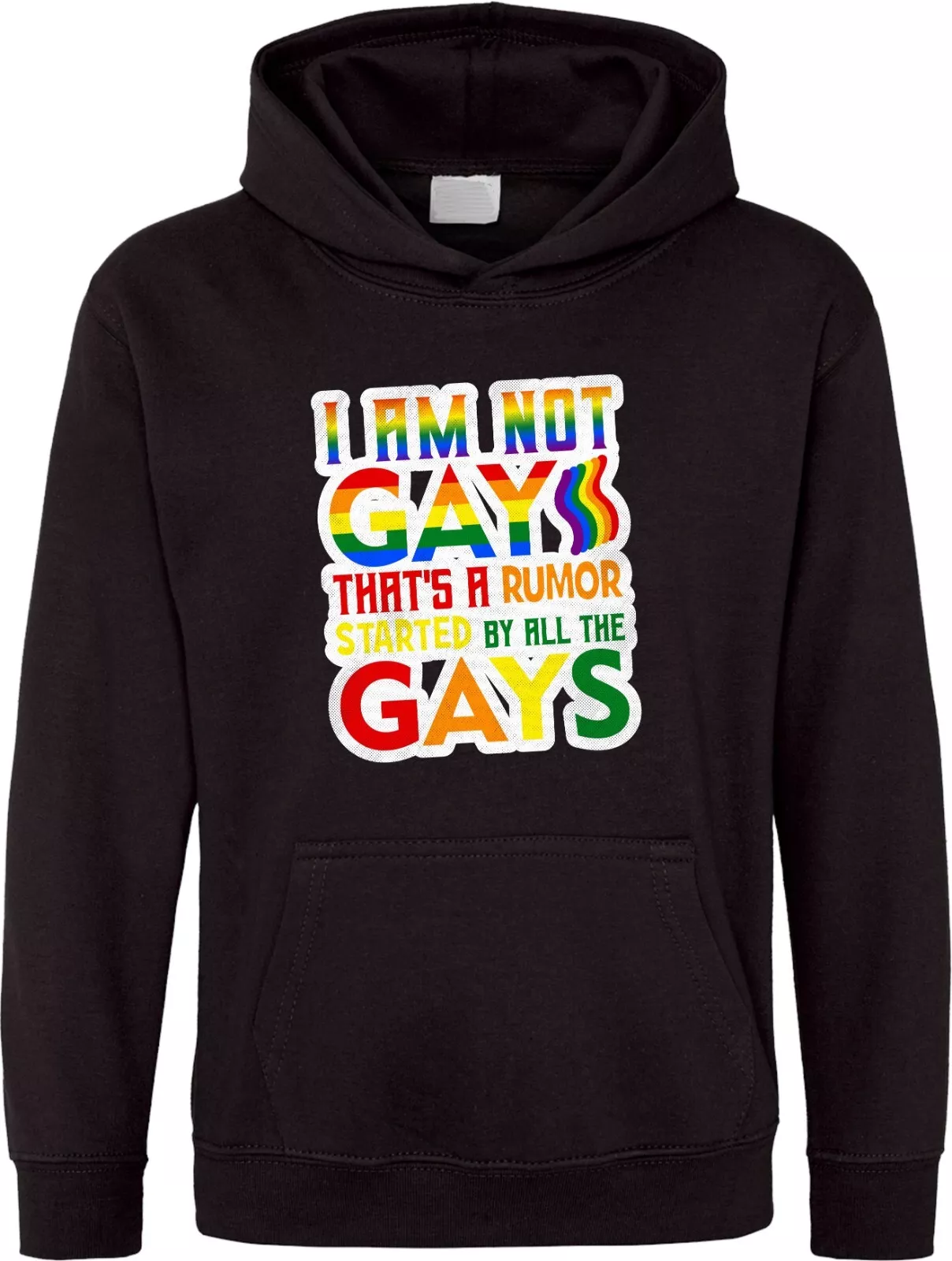 LGBTQ Pride Month Hoodie I Am Not Gay That's A Rumor Rainbow Flag Gay ...