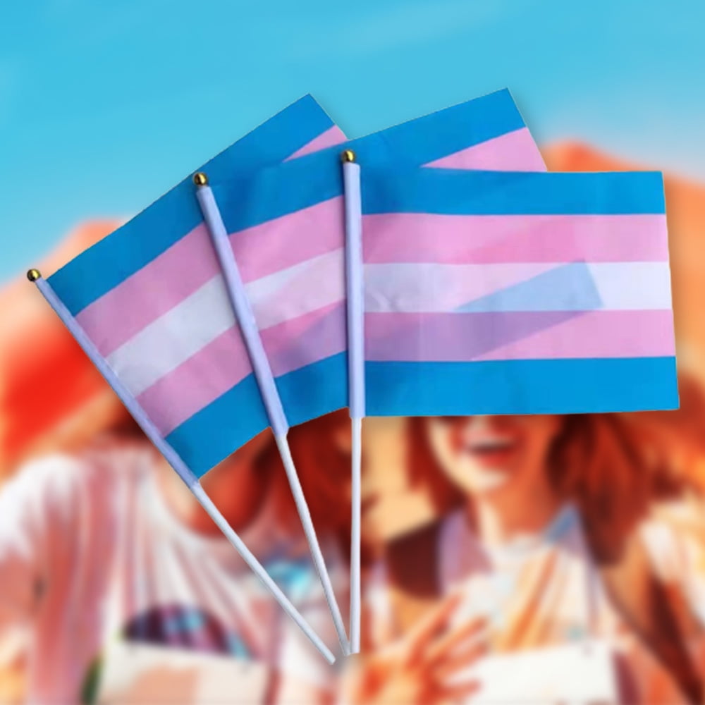 LGBTQ Rainbow Hand Flags Clear Printing Rainbow LGBTQ Flags for LGBTQ ...