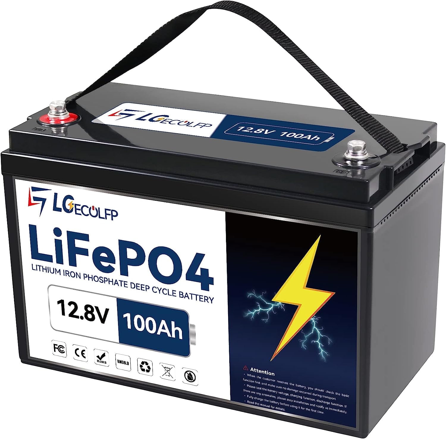 LGECOLFP 12V 100Ah LiFePO4 Lithium Iron Phosphate Battery, 100A BMS ...