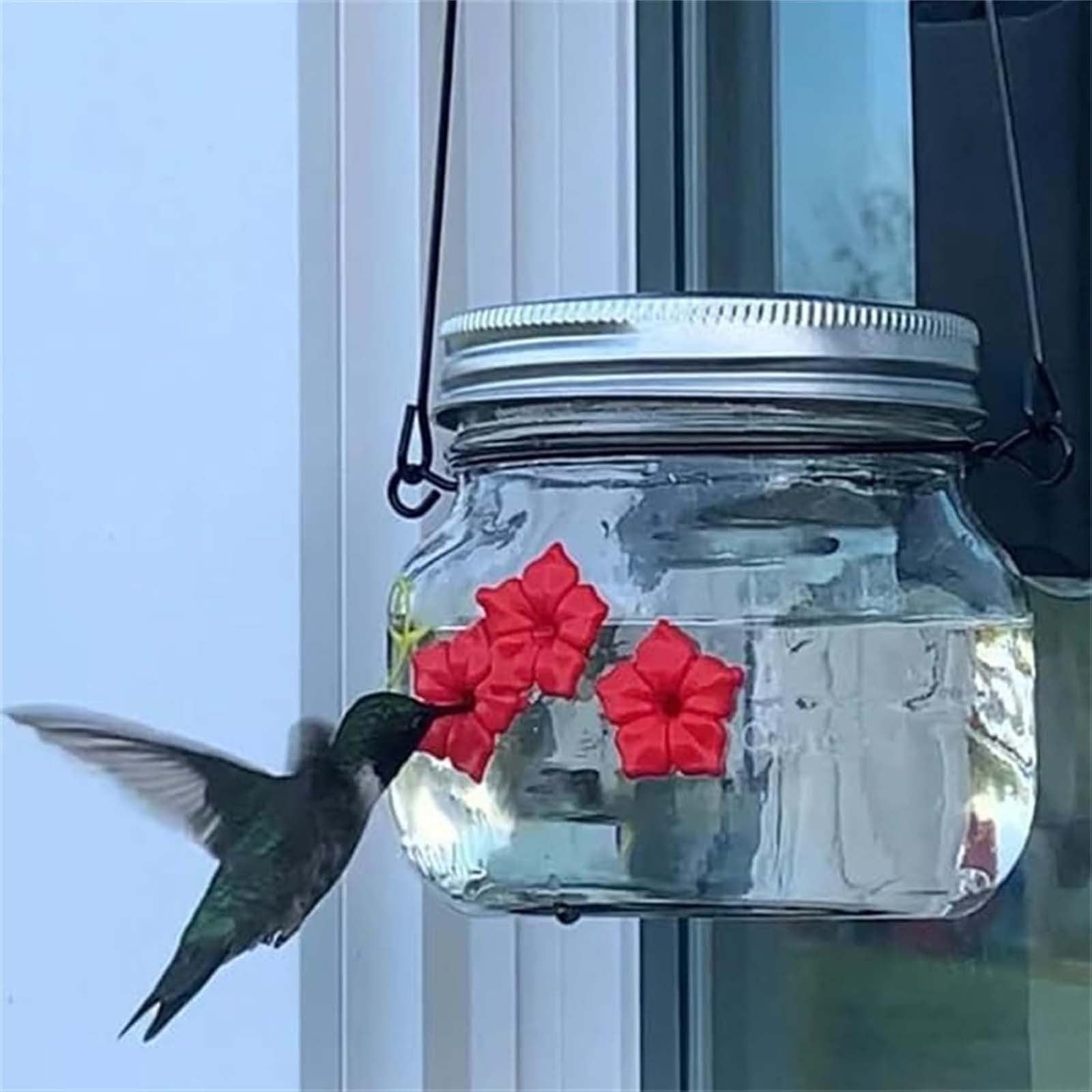 LHNFT Mason Jar Hummingbird Feeder, 500ml Hanging Feeder With ...