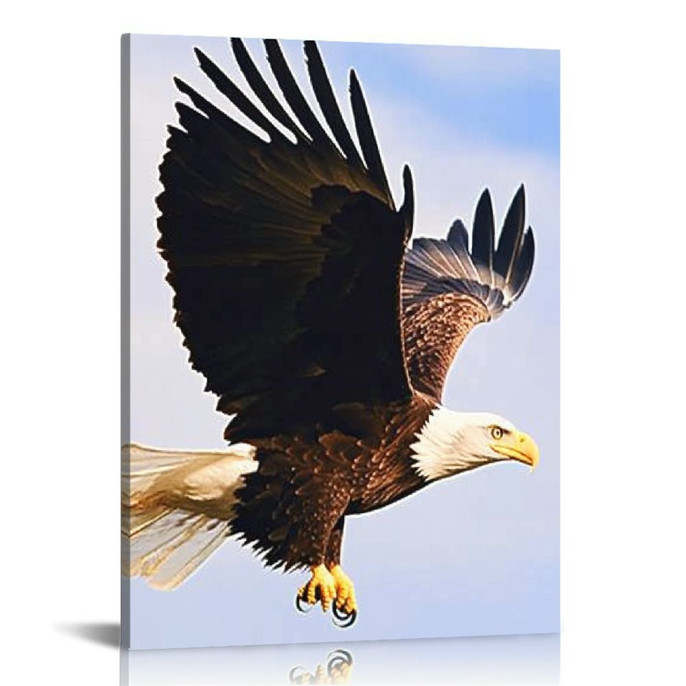 LHONGY Eagle Bald Diving Landing Wall Decor Animal Art Print Poster ...