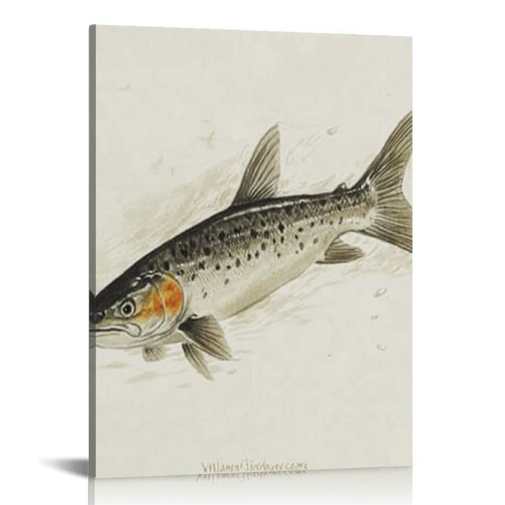 LHONGY Fish Wall Art Prints ing Decor - Reproductions of Drawings ...