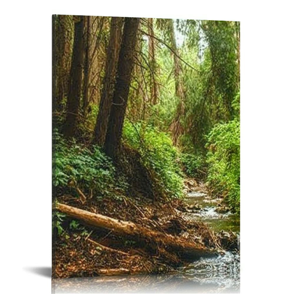 LHONGY Forest Wall Art, Serene Art from the California Coast Santa Forest for the Tree Lover ...