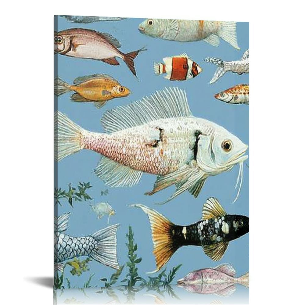 LHONGY Retro Fish Poster Ocean Life Chart Vintage Marine Biology ...