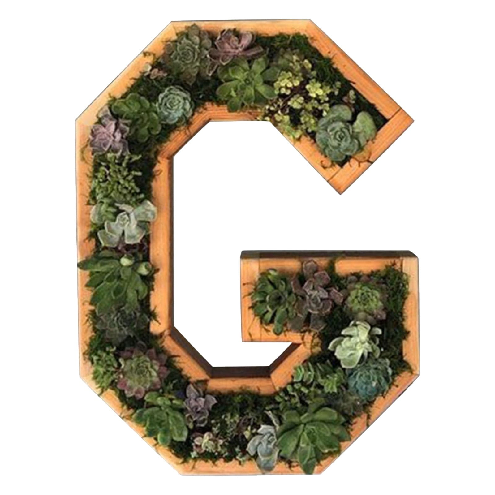 LHWEN Decorative Wall Wooden Monogram Letters Artificial Succulents ...