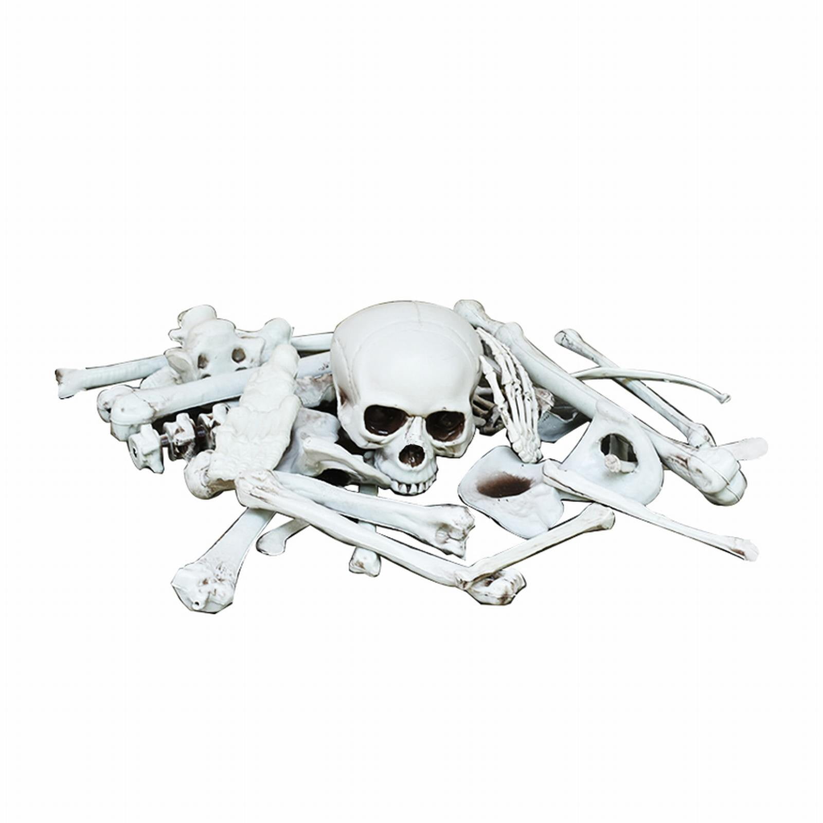 LHWEN Halloween Skeleton Full Body Life Size Human Bones Movable Joints ...