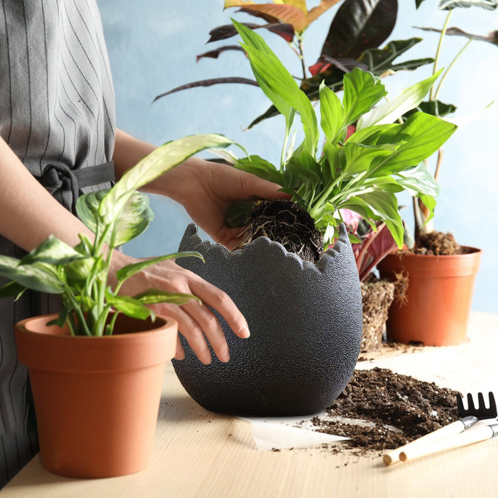 LHWEN Meaty Ceramic Flowerpot Breathable Rough Pottery Eggshell Design ...