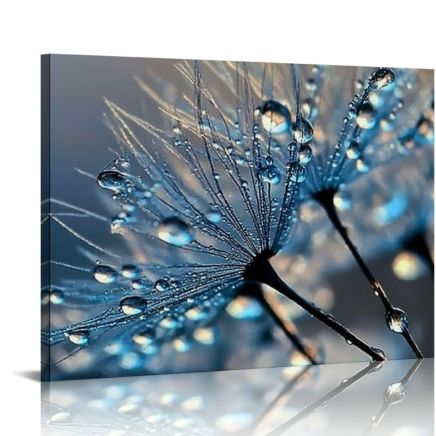 LIAOKANG Blue Dandelion Wall Art Dandelion Flower with Water Drop ...