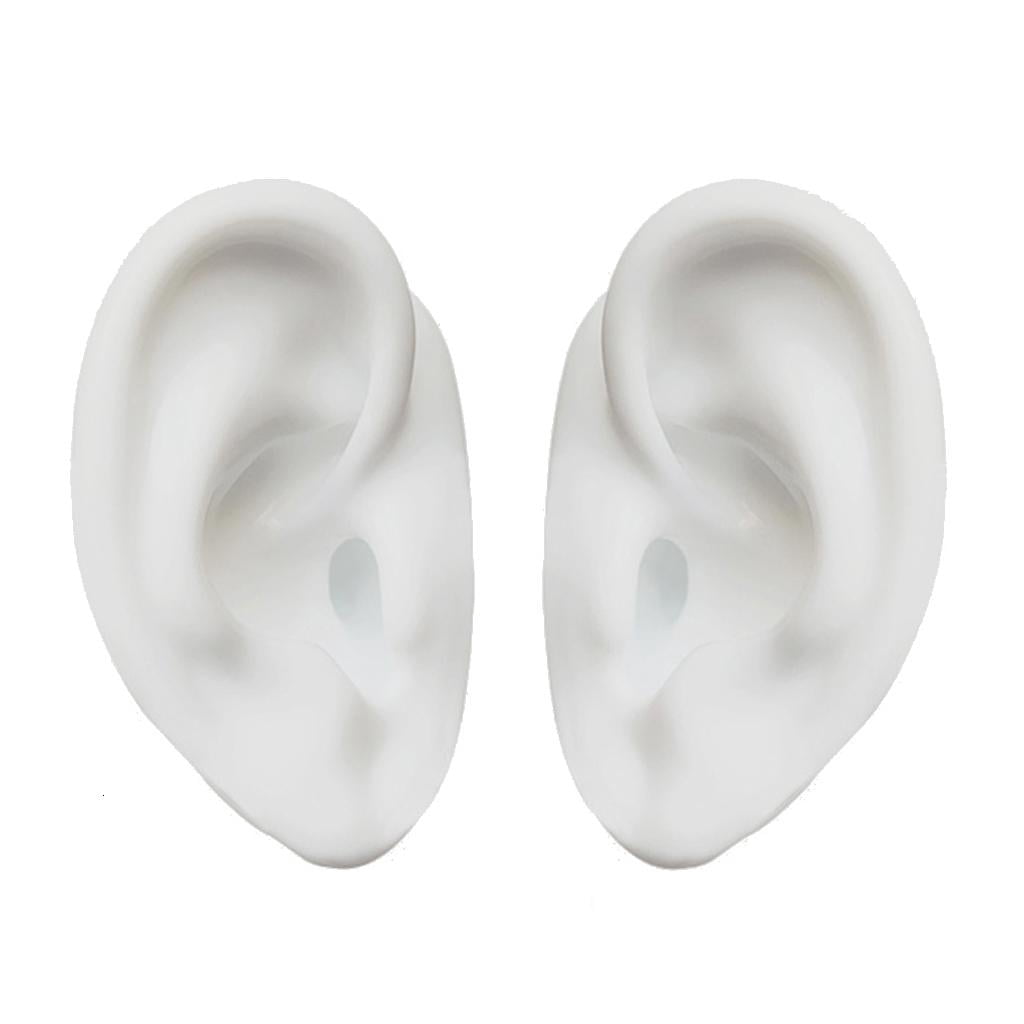 LICEWO Silicone Simulation Human Ear Model Puncture and Perforation ...