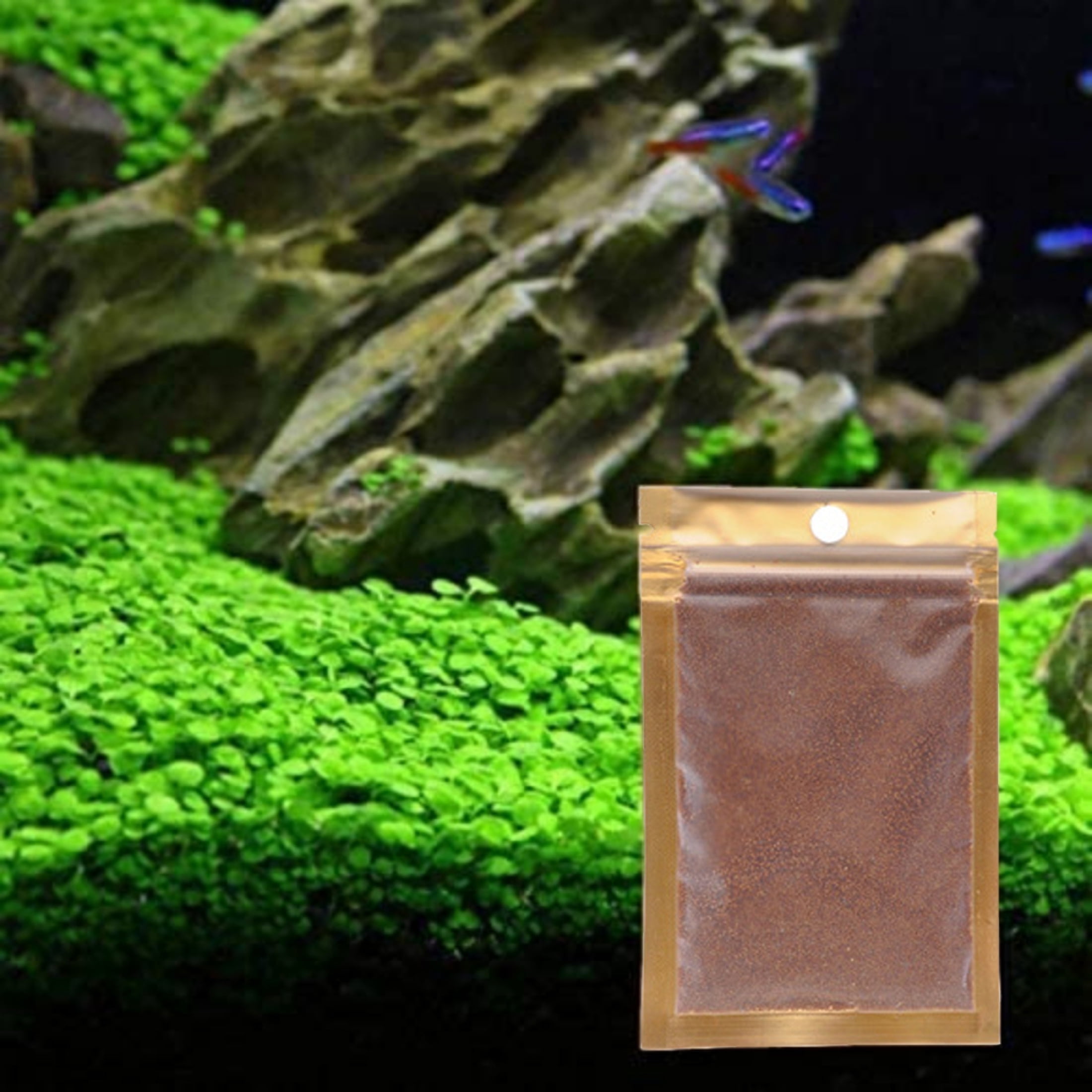 LICHENGTAI 2 Pack Aquarium Small Leaf Grass Seeds for Fish Tank ...