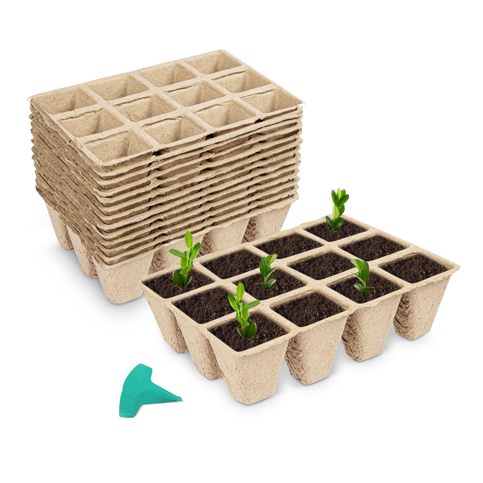 LIDNGLN Biodegradable 144 Cells Peat Pots Seed Starter Trays - 12 Packs ...
