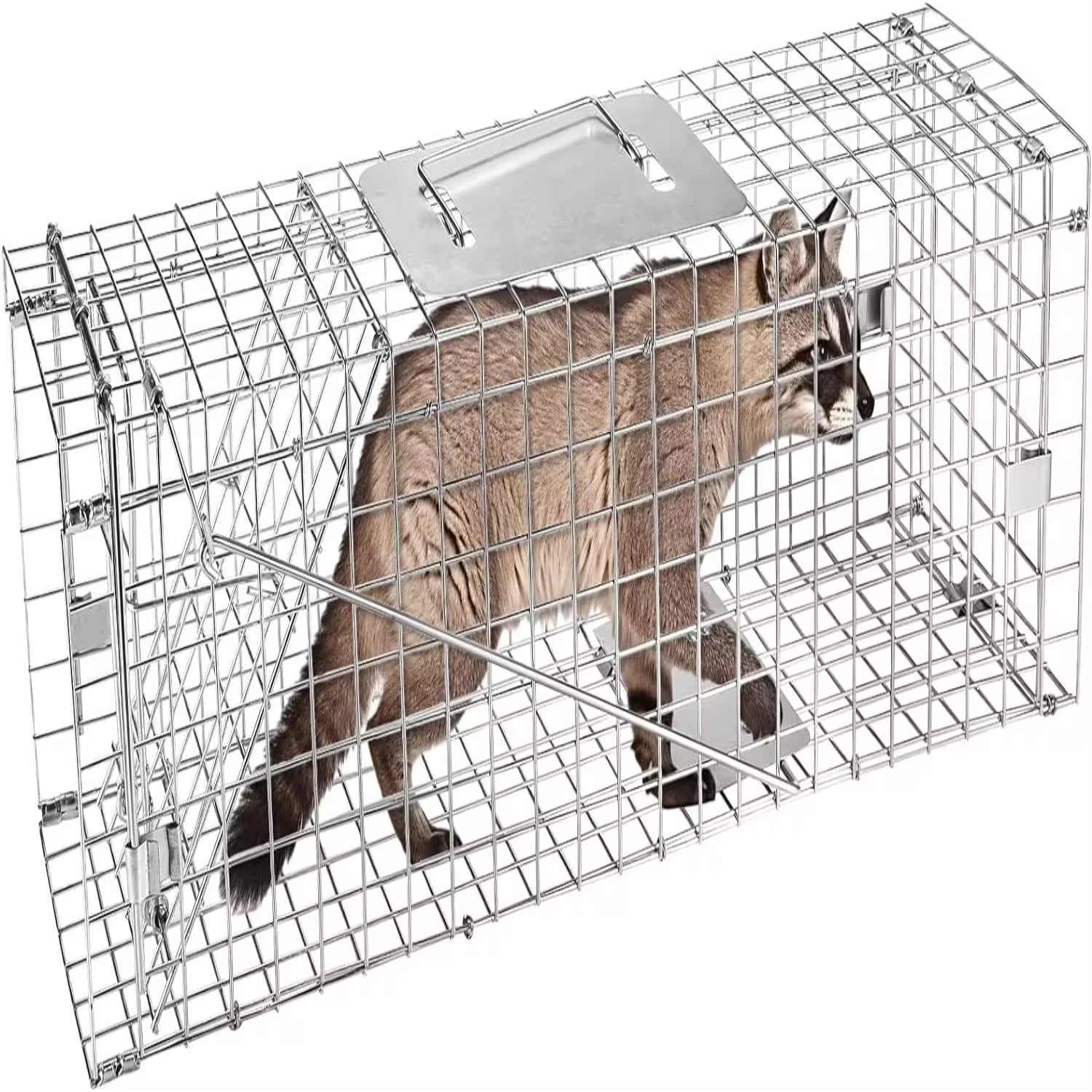 LIDNGLN Large Foldable Steel Cat Trap Cage for Live Animals 32”X13”X11 ...