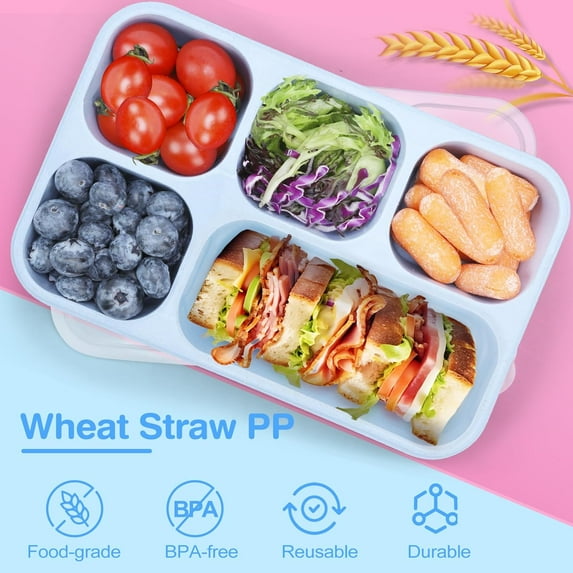 LIDUI-Bento Box Adult [Portion Size], 3 Pack Snack Containers with 5 ...