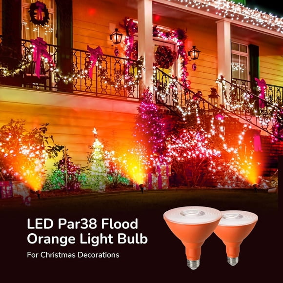 Outdoor Christmas Flood Lights