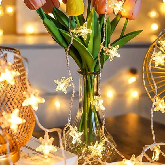 LIDUI-Christmas Lights Battery Operated Star Fairy String Lights ...