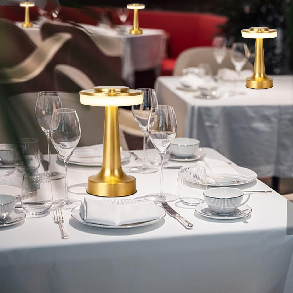 LIDUI-Cordless Metal Desk Lamp, Touch Sensor Control LED Table Lamp,3 ...