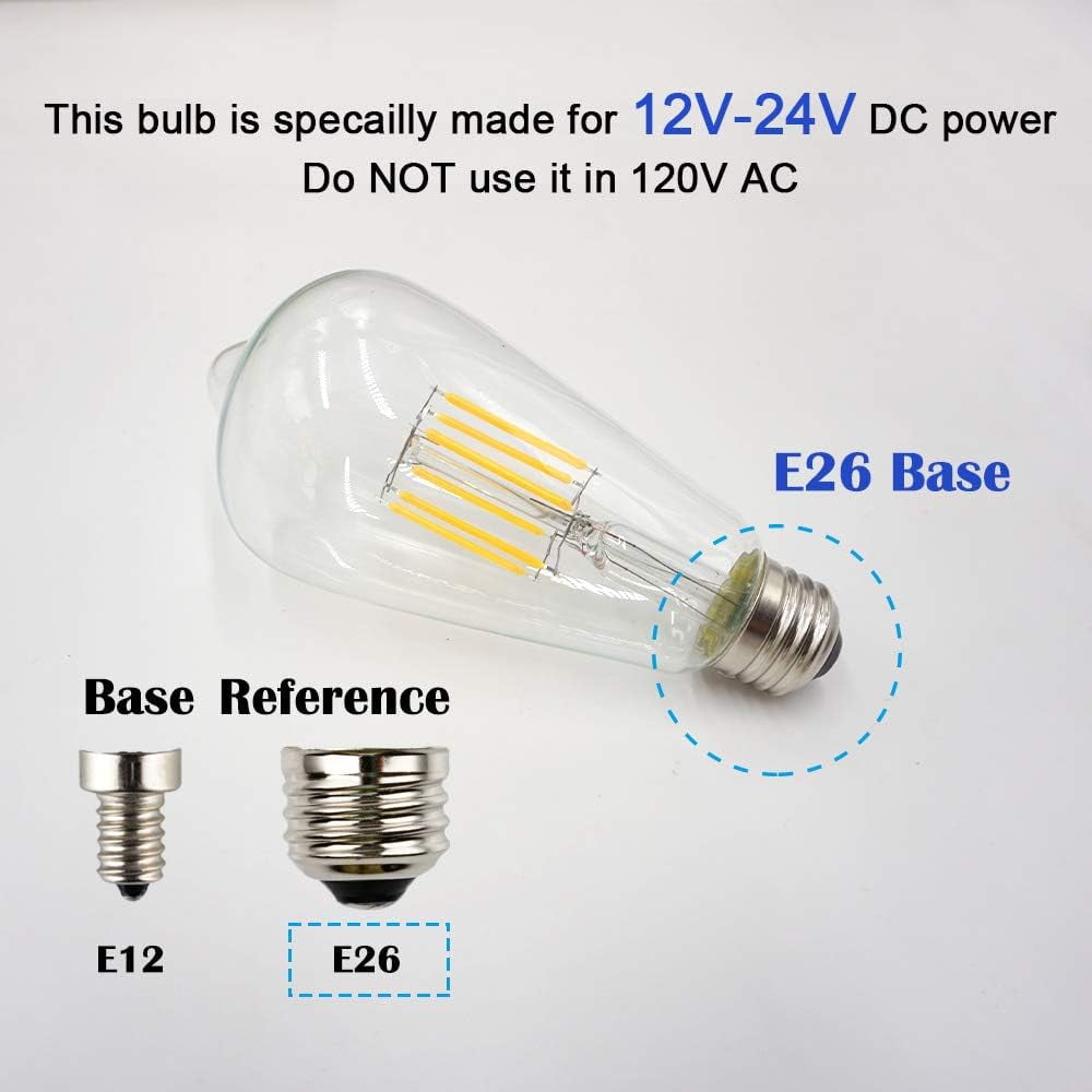 LIDUI-Low Voltage DC 12V/24V 6W LED Bulb, Edison Style ST21(ST64 ...